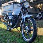Big Boy 150 Velocity - 40 Used Motorcycles | Cari Motorcycles