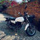 Big Boy 150 Velocity - 34 Used Motorcycles | Cari Motorcycles
